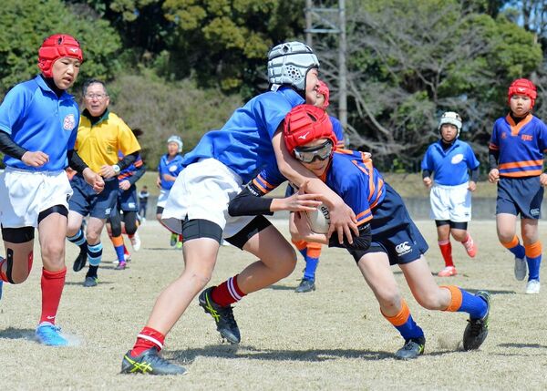 ＜学童オリンピック・ミニラグビー＞佐賀ジュニアA（佐賀市）3大会ぶり優勝 高学年の部 | SAGA SSP